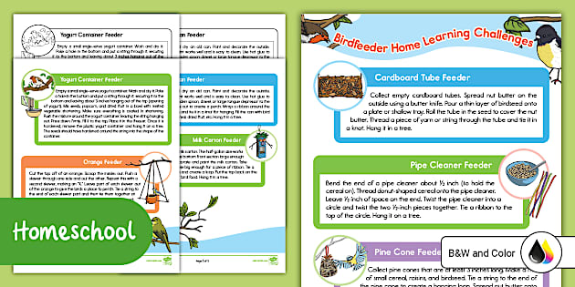 Birdfeeder Home Learning Challenges (teacher made) - Twinkl