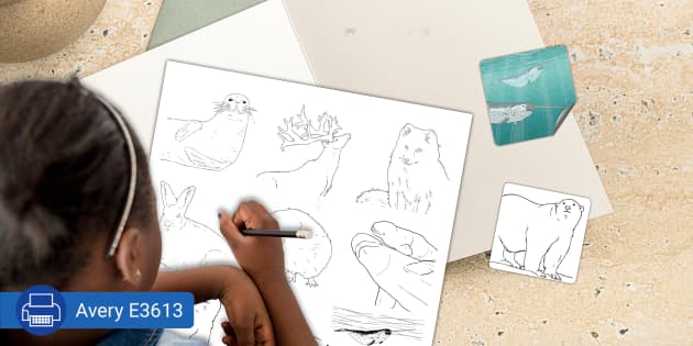 World Wildlife Mindfulness Colouring Arctic Animal Stickers