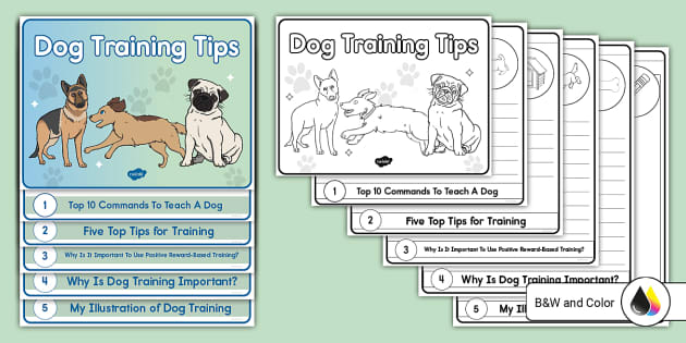Dog Training Flipbook (teacher made) - Twinkl