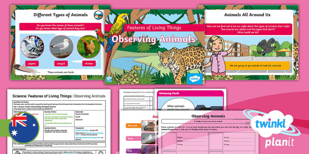 Year 1 Science Features of Living Things Lesson 1 Animals