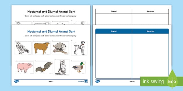 Nocturnal and Diurnal Animal Sort Worksheet - Twinkl