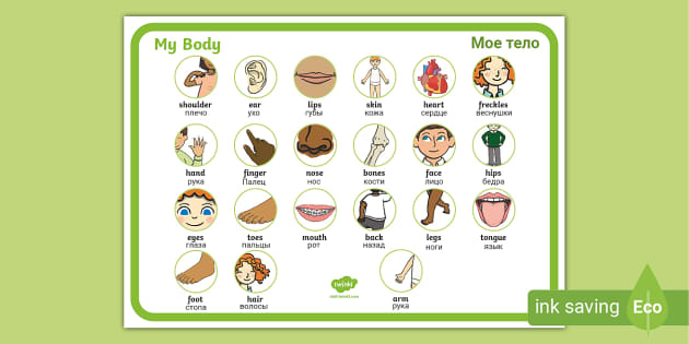 FREE! - English/Russian 'My Body' Word Word Mat