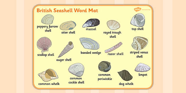 British Seashell Word Mat (teacher made)