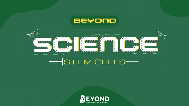 KS4 Cell Biology Stem Cells Video | Beyond Secondary