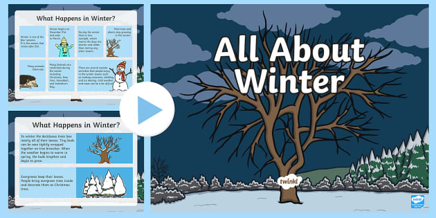 All About Winter PowerPoint (teacher made)