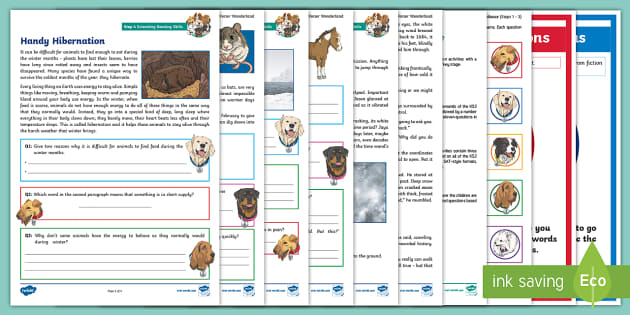 Winter reading comprehension | Resource pack | Twinkl