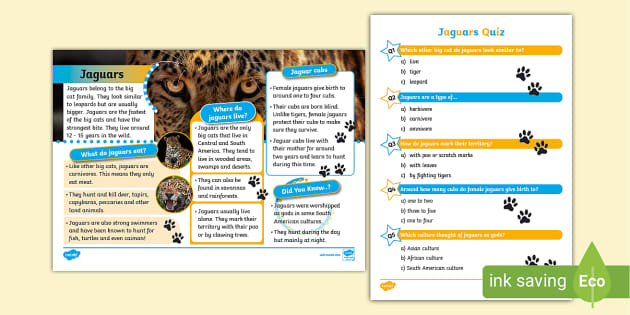Jaguar Fact File and Quiz - Twinkl - Topic (teacher made)
