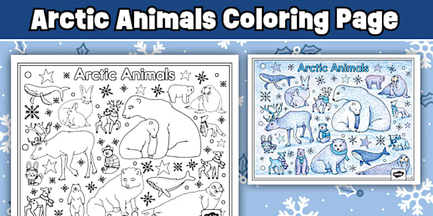 Arctic Animals Coloring Page