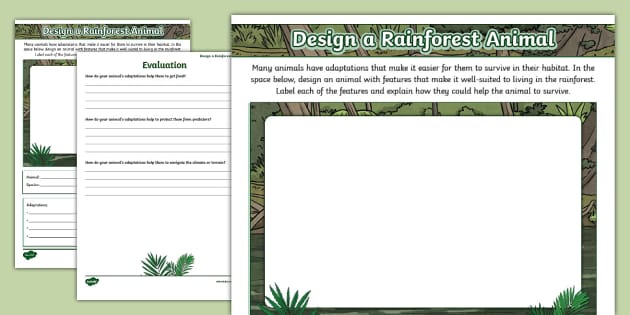 Design a Rainforest Animal Activity Sheet (teacher made)