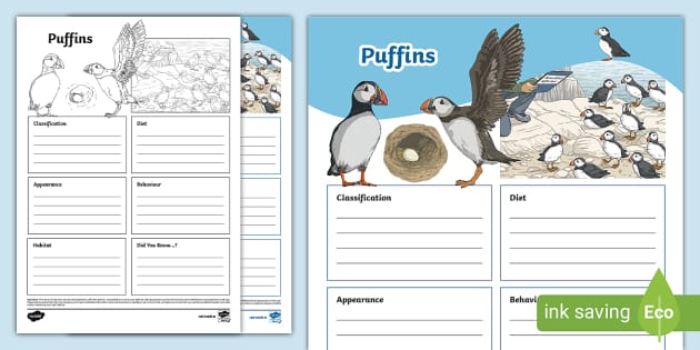 Puffin Fact File Template (l'enseignant a fait) - Twinkl