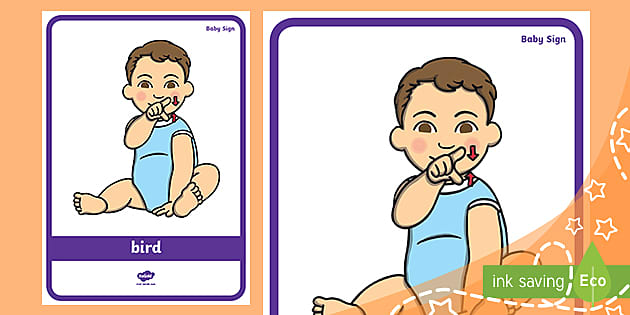 Baby Sign Language Poster (Bird) (Teacher-Made) - Twinkl