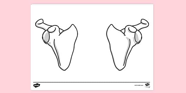 Colouring | Colouring Sheets (teacher made) - Twinkl