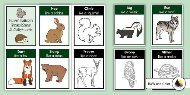 Forest Animals Gross Motor Activity Cards - Twinkl