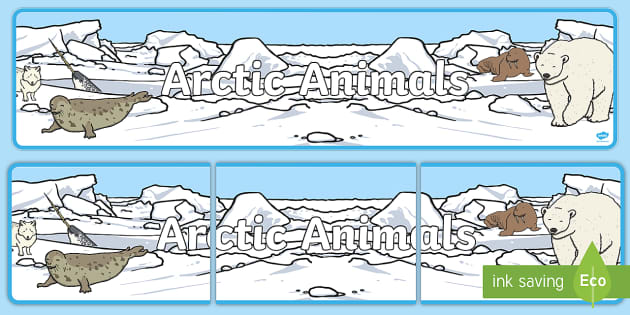 Arctic Animals Display Banner - (teacher made) - Twinkl