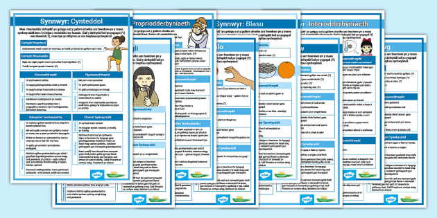 Posteri Arddangos Rheoleiddio Ein Wyth Synnwyr - Twinkl