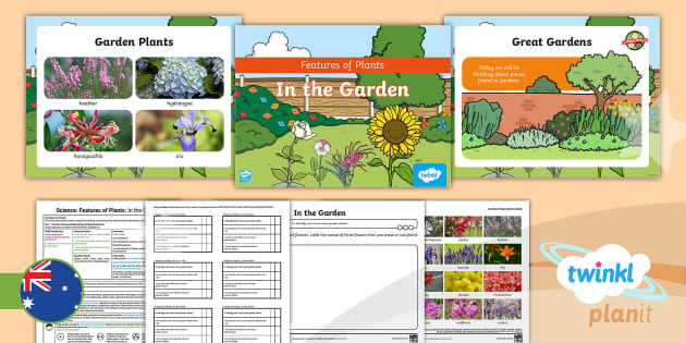 Year 1 Science Features of Plants Lesson 3 In the Garden