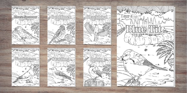 British Garden Birds Colouring Card Set | Twinkl Party