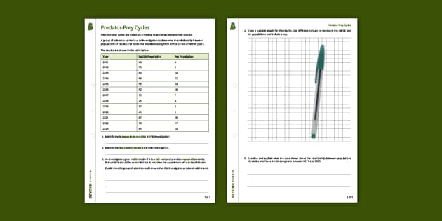 KS3 Predator-Prey Cycles Worksheet | Beyond Science | Twinkl