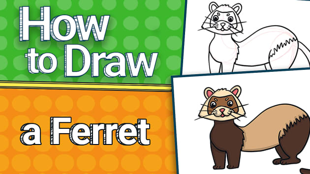 How to Draw a Ferret | Twinkl Kid's TV (teacher made)