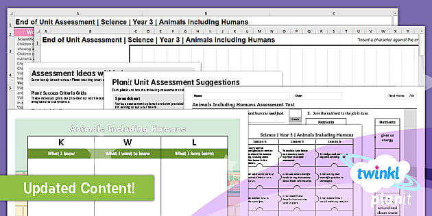 Animals, Including Humans, Year 3 Assessment Pack | Twinkl