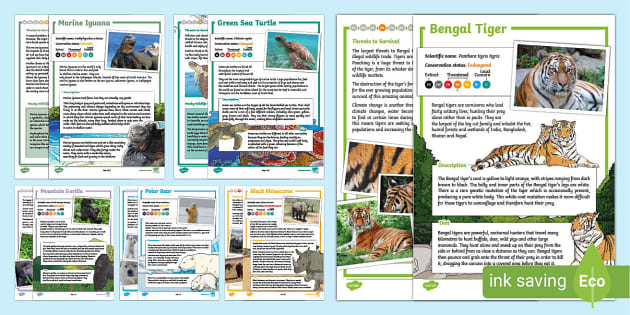 Endangered Wildlife Fact Sheets (teacher made) - Twinkl