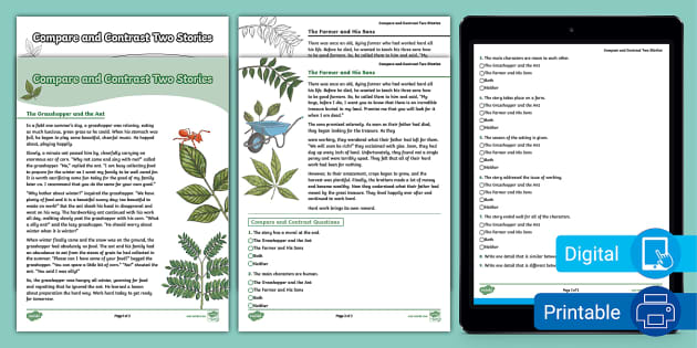 4th Grade Compare and Contrast - Twinkl USA (teacher made)