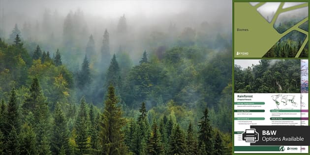 Biomes Speed Dating | Geography | Beyond Secondary - Twinkl