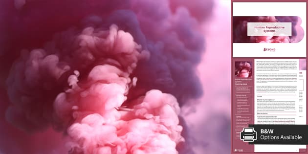 Human Reproduction Lesson 1 | Science | Beyond Secondary