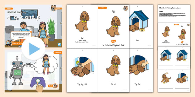 's, a, t, p' Lesson Pack - Level 2 Week 1 Lesson 5 - Twinkl