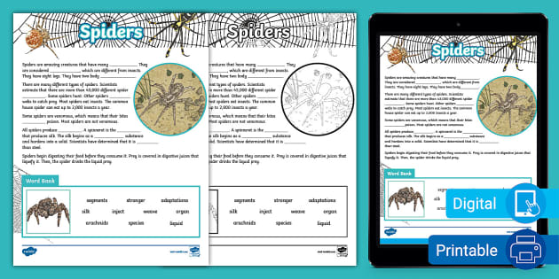 Third Grade Spiders Cloze Reading Worksheet (teacher made) Third Grade Spiders Cloze Reading Worksheet (teacher made)