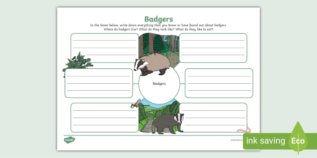 Badgers Mind Map (teacher made)