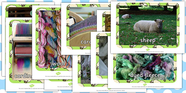 Sheep Shearing Display Photographs (teacher made) - Twinkl