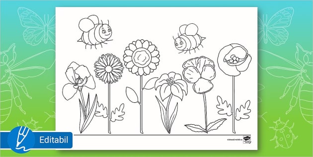 Albine și flori – Desen de colorat (teacher made)