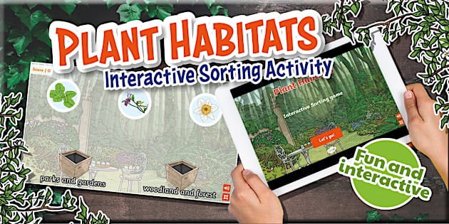 Plant Habitats Interactive Sorting Activity