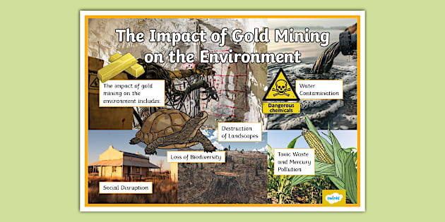 The Impact of Gold Mining on the Environment - Poster