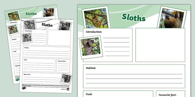 Sloths Non-Chronological Report Template (Teacher-Made)