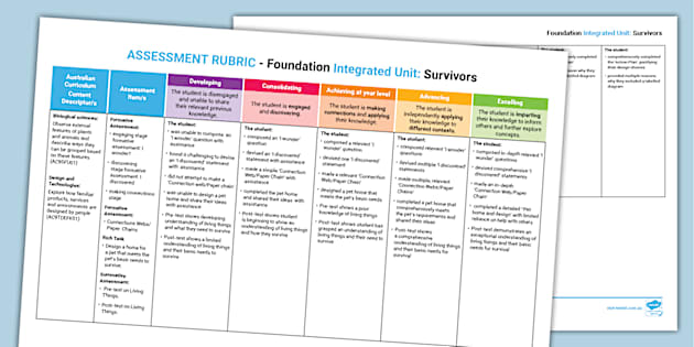 Survivors Foundation IU Assessment Rubric - Twinkl