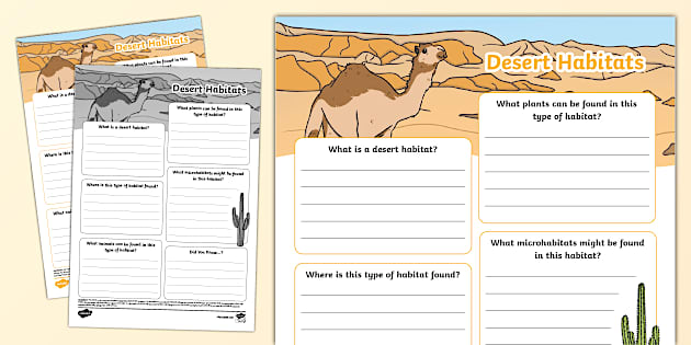 KS1 Desert Habitat Fact File Template - Twinkl