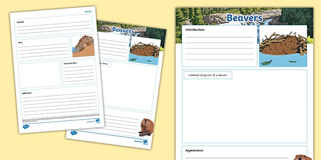Beavers Non-Chronological Report Template (profesor hizo)
