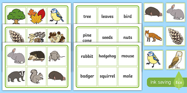 Woodland and Forests Matching Game (teacher made) - Twinkl