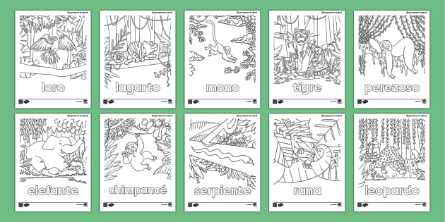 Hojas de colorear: ¡Exploremos la selva! - Twinkl