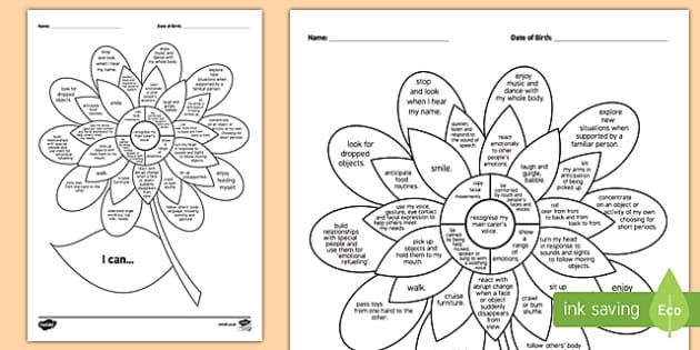 Birth to 1 Year 'I Can' Assessment Flower (teacher made)