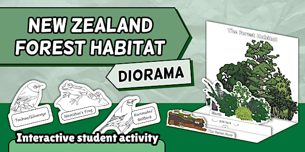 New Zealand Forest Habitat Diorama