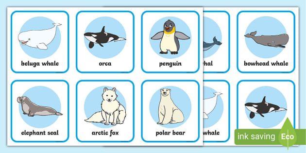 Matching Game to Support the Teaching of Iceberg | Twinkl