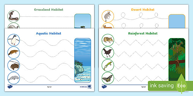 Bush and Beach Habitat Animal Sorting (Teacher-Made)