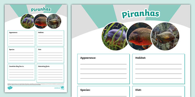Piranhas Fact File Template (teacher made) - Twinkl