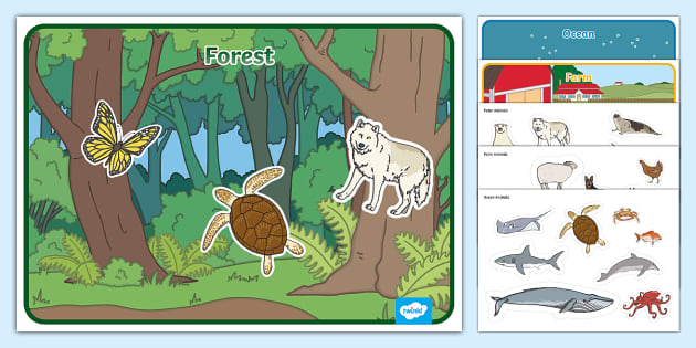 Animals Live In Familiar Places Sorting Activity - Twinkl