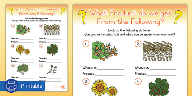 Grade 3 Life Skills: What product do we get? - Twinkl