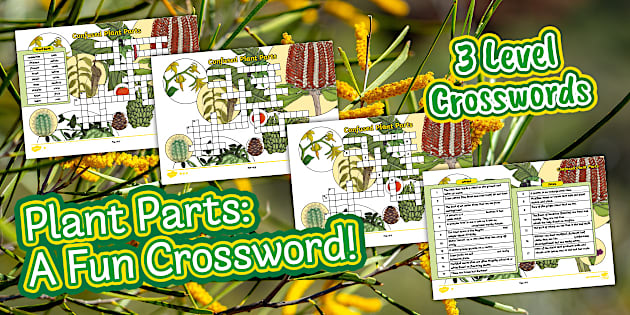 Confused Plant Parts Crossword