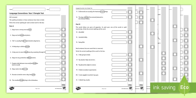 NAPLAN Style English Example Tests Set 6 Year 3 Language Conventions 